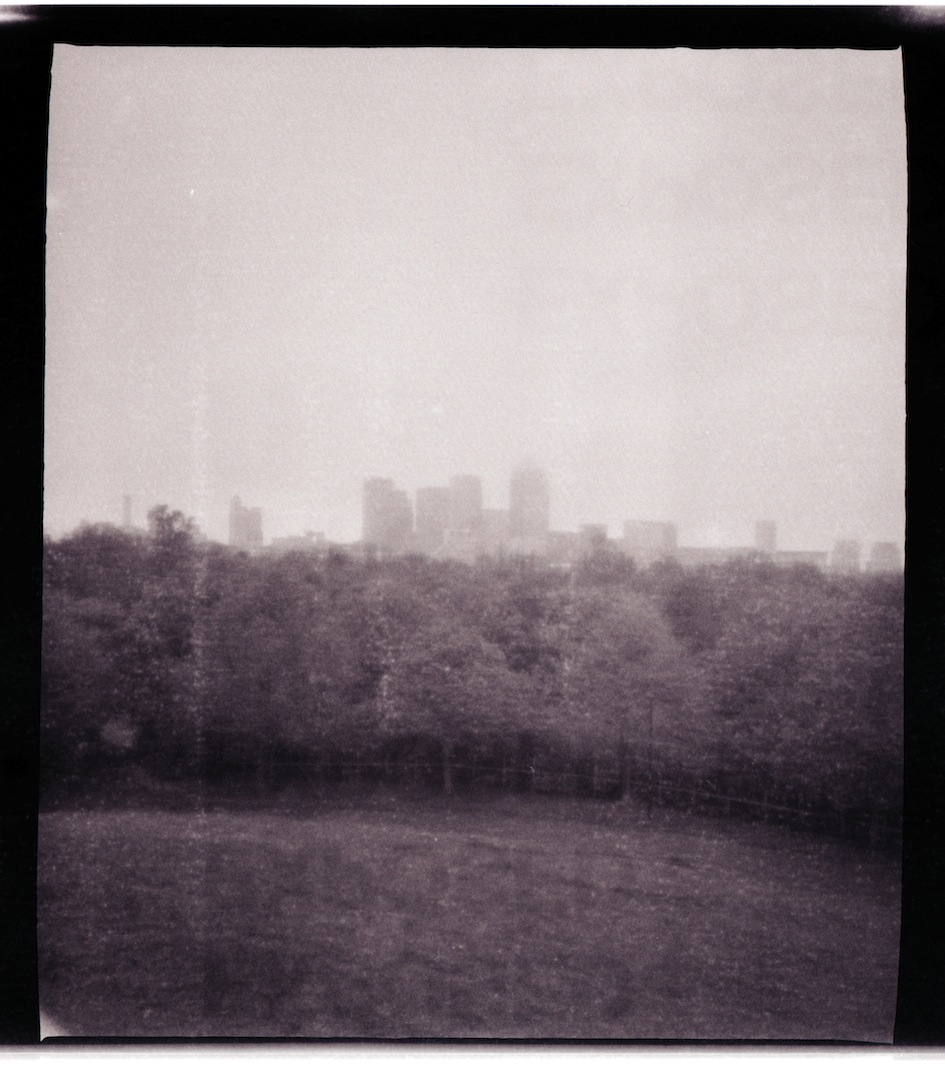 30 years of urban ecology at stave hill - index